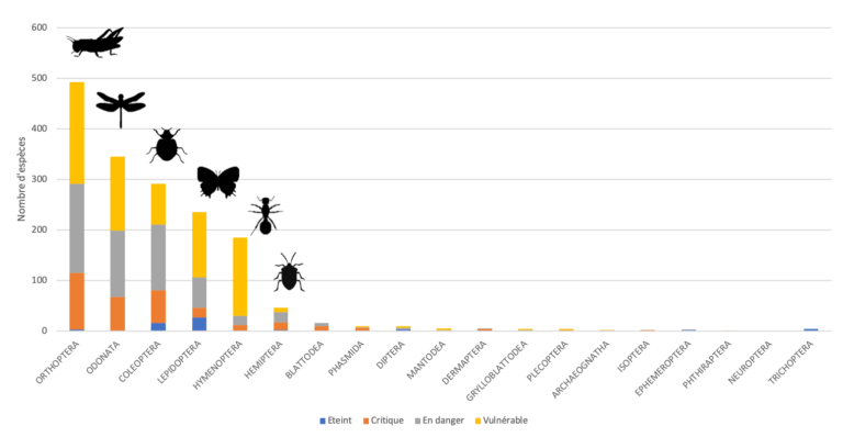 Le déclin et la disparition des insectes - Fourmidables